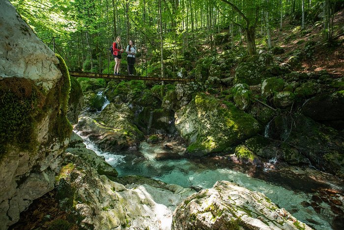 The Šunik water grove | Soča Valley - Slovenia