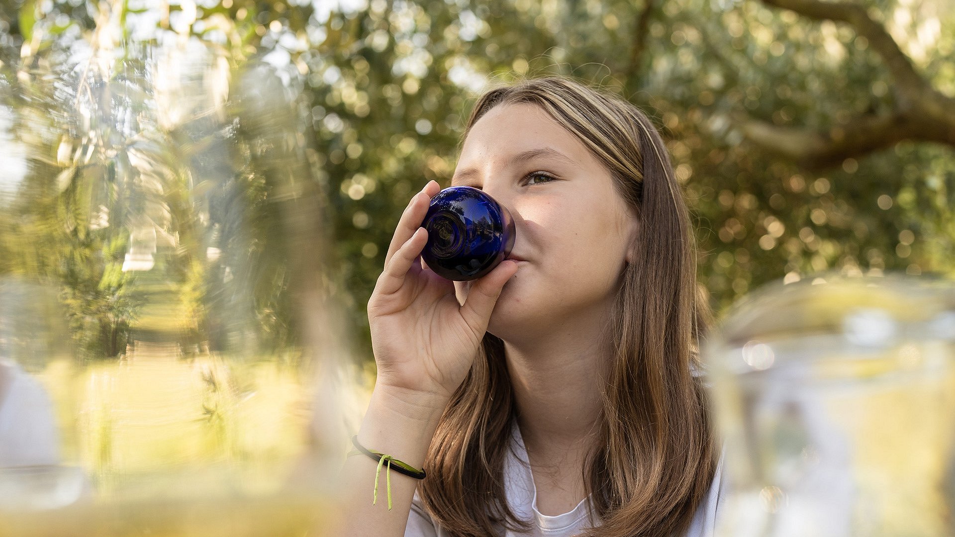 In the embrace of the olive trees | Soča Valley Finest